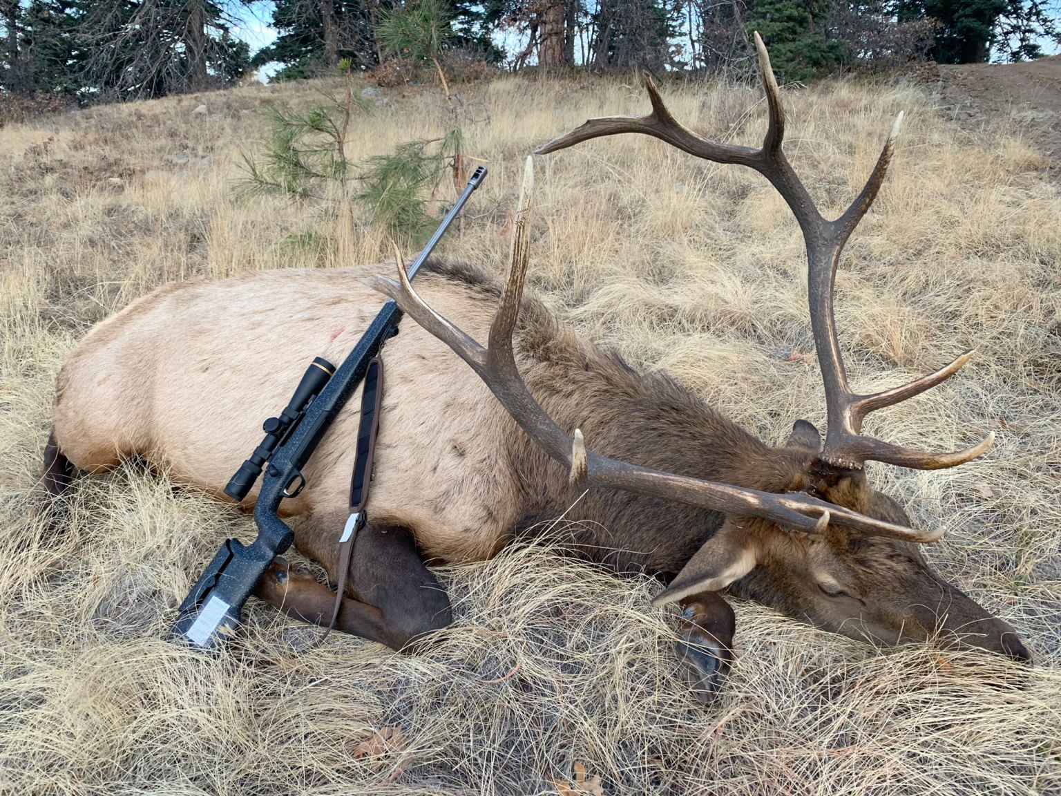 The Best Hearing Protection for Hunting | Outdoor Life