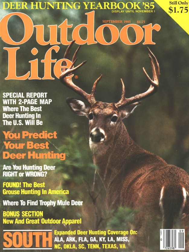 The Best Grouse Hunting in America Isn't Where You Think | Outdoor Life