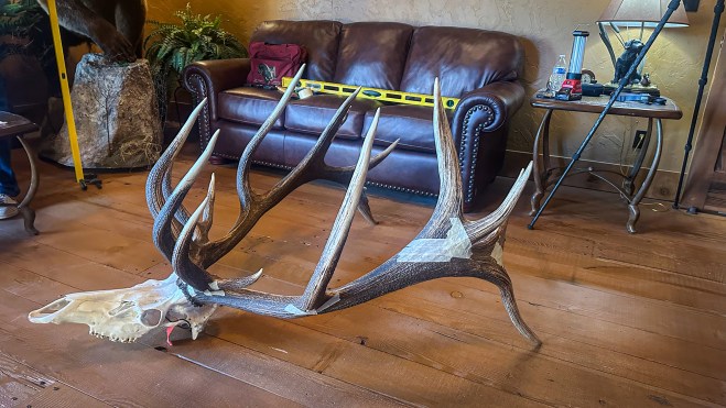 Brooks Bull Officially Declared New Archery World-Record Elk. It ...