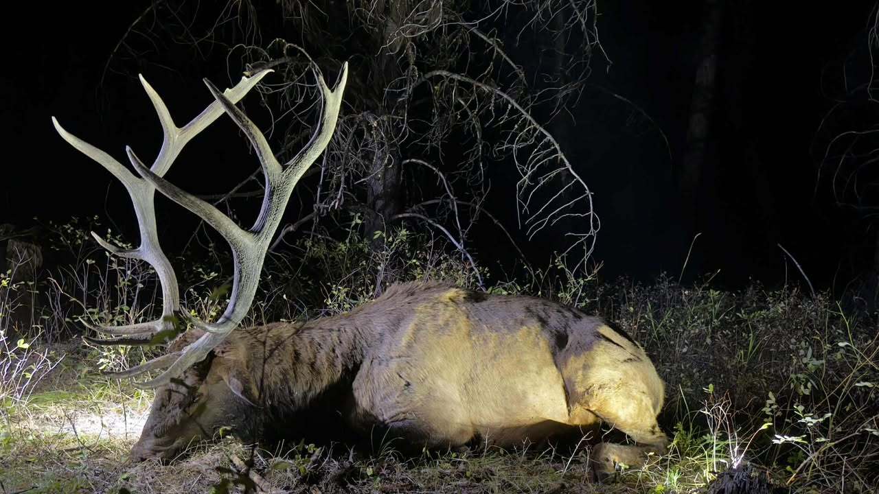 After 20 Years of Applying, 28 Days of Hunting, and 130 Miles of Hiking ...