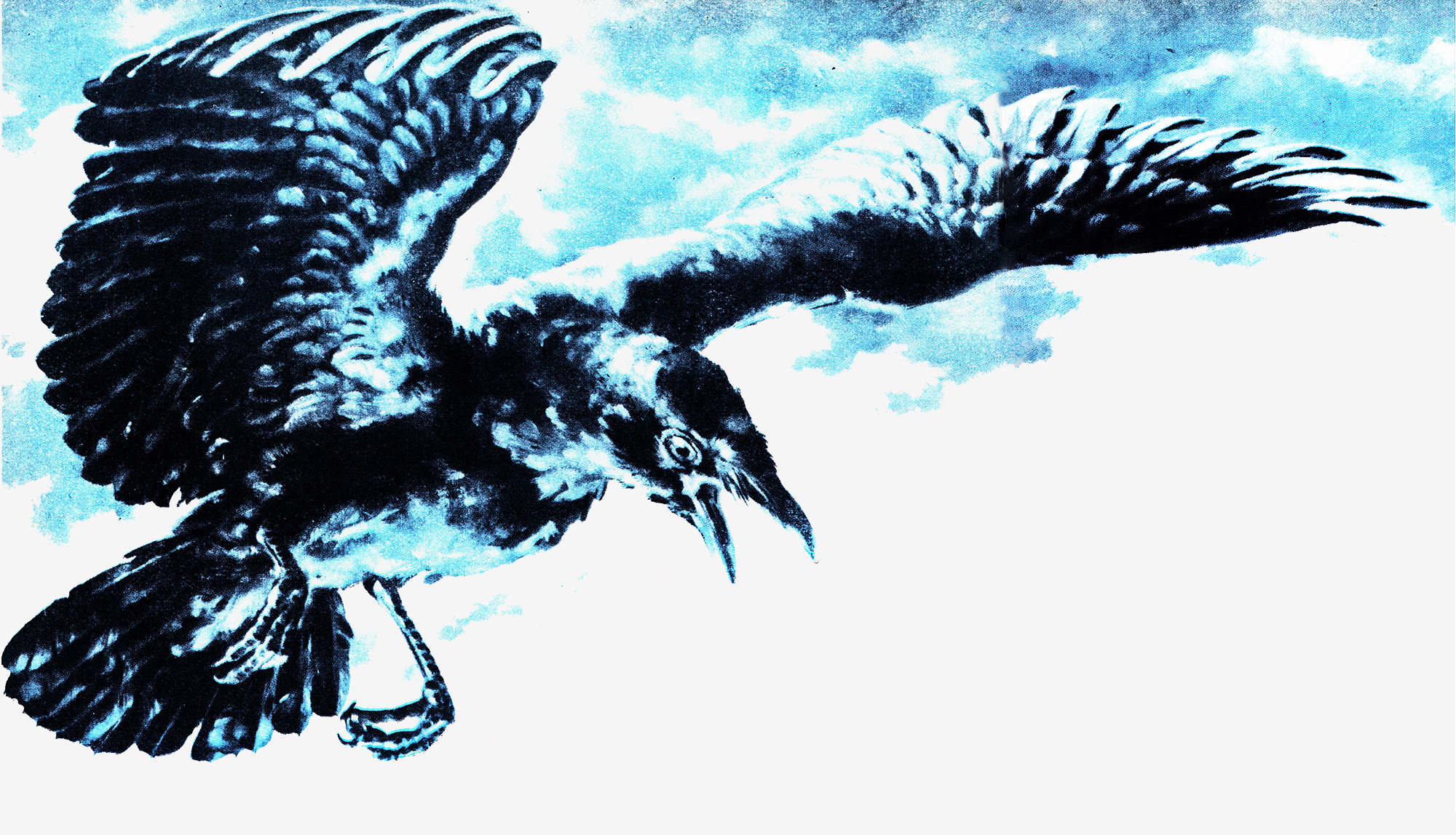 My Best Old-School Tips for Hunting Crows — Including This One Weird ...