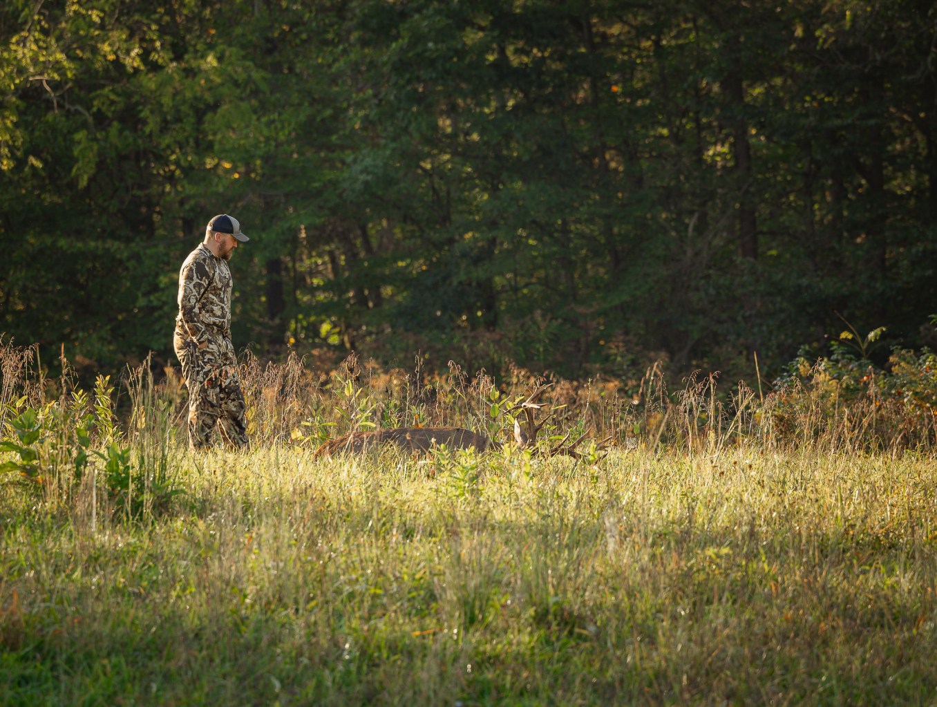 This Buck Outsmarted Me for 3 Seasons. One Change Finally Gave Me the ...