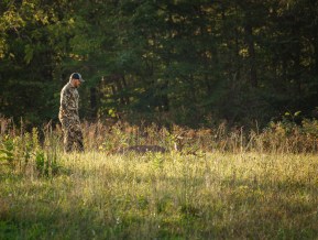 This Buck Outsmarted Me for 3 Seasons. One Change Finally Gave Me the ...