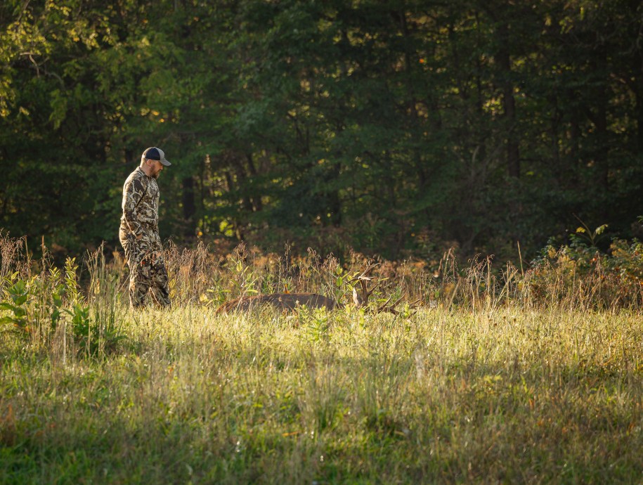 This Buck Outsmarted Me for 3 Seasons. One Change Finally Gave Me the ...