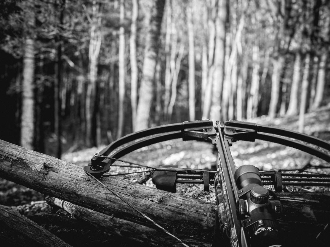 Game Warden Tales: I Hunted Down a Trip-Wire Crossbow Poacher | Outdoor ...