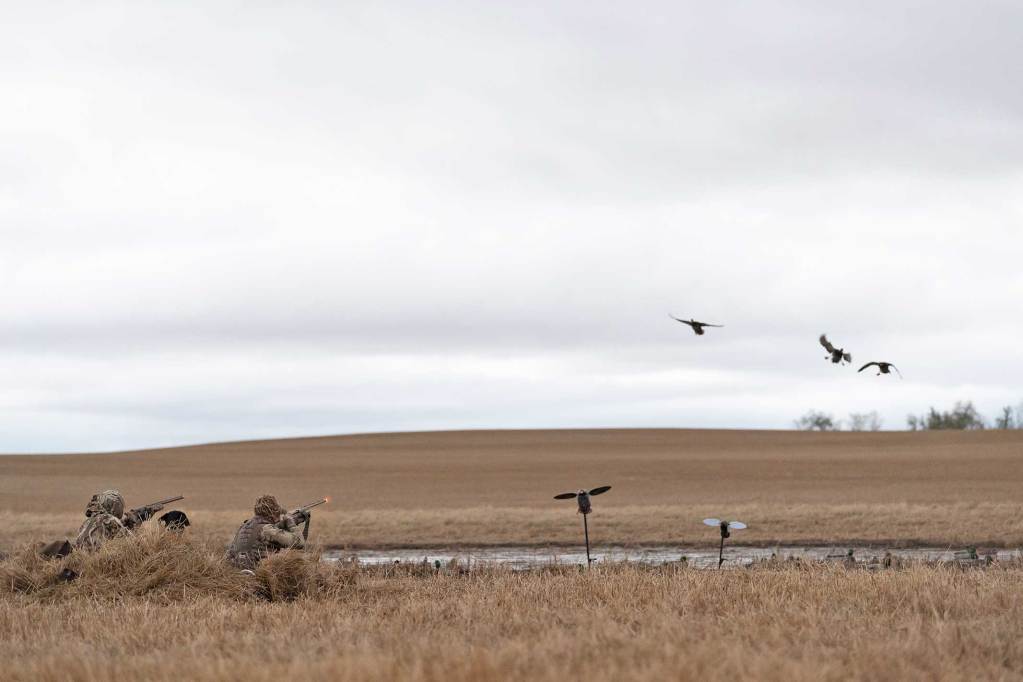 The 9 Biggest Myths in Duck Hunting | Outdoor Life