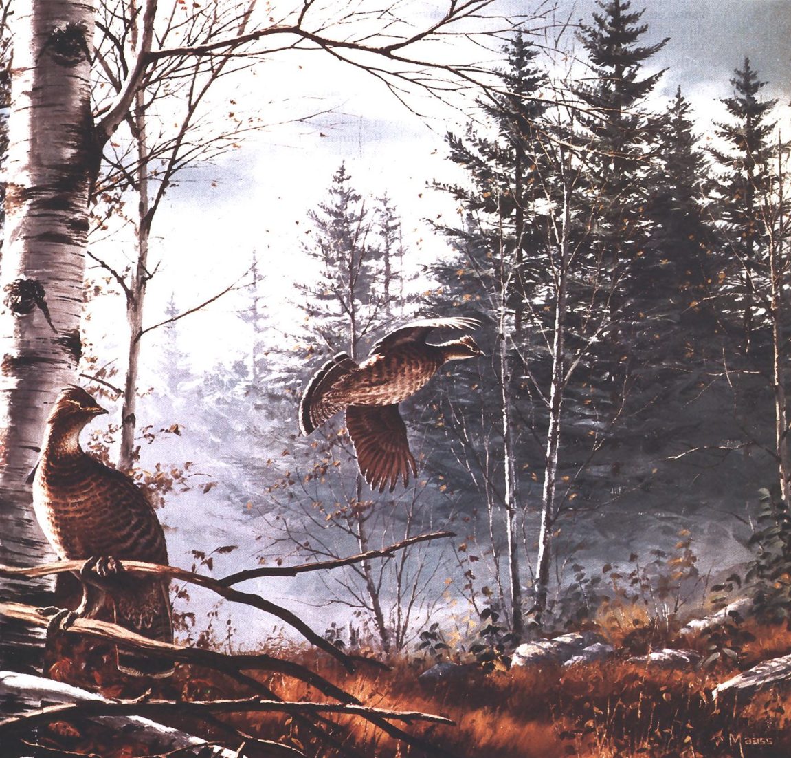 The Best Grouse Hunting in America Isn't Where You Think | Outdoor Life