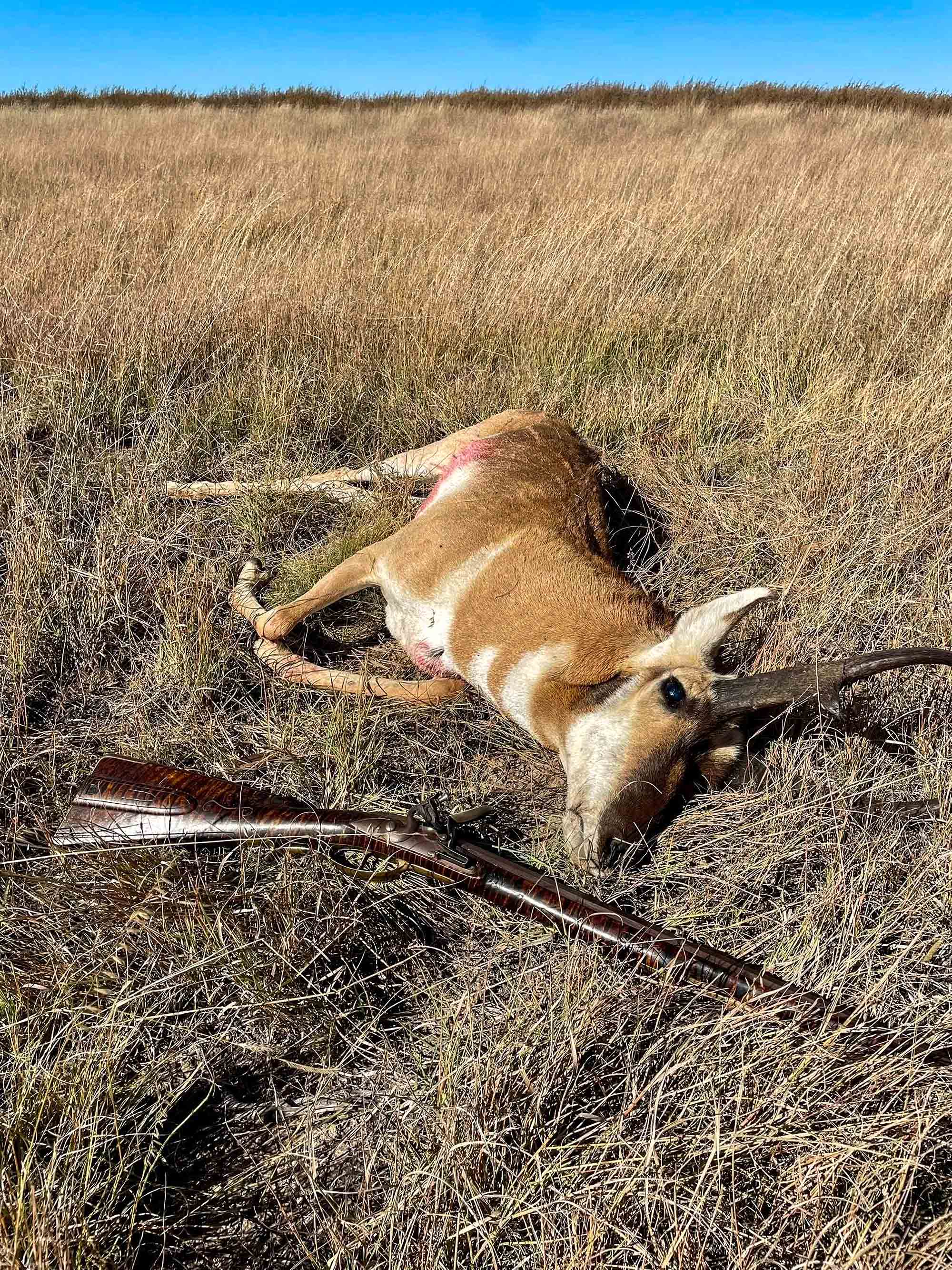 I Took a Pronghorn with My Flintlock After the Longest Stalk of My Life ...