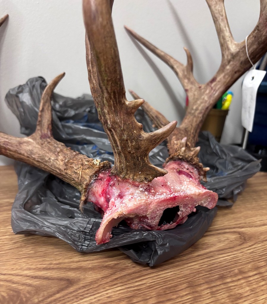 College Kid Plays Hooky and Arrows a Huge Missouri Buck with 3 Main ...