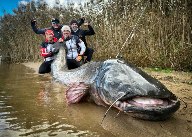 Video: Polish Anglers Say This Gigantic Catfish Is a New World Record