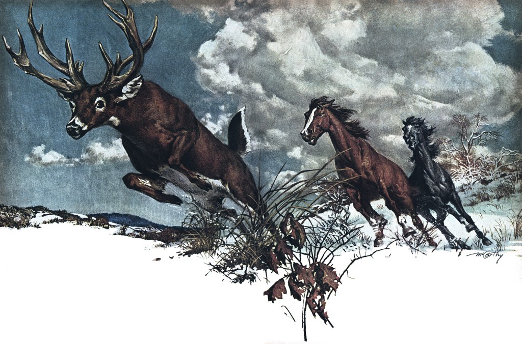 I Tracked This Double-Beamed Buck for 8 Miles Across Ohio | Outdoor Life