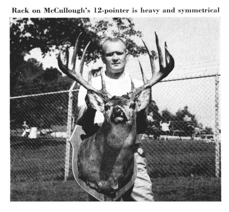 I Tracked This Double-Beamed Buck for 8 Miles Across Ohio | Outdoor Life