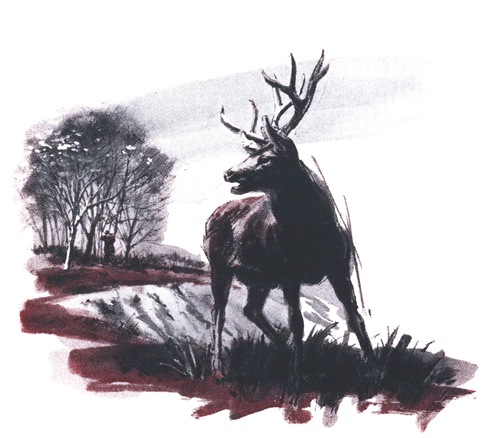 Old-School Advice for Still-Hunting Whitetail Deer | Outdoor Life