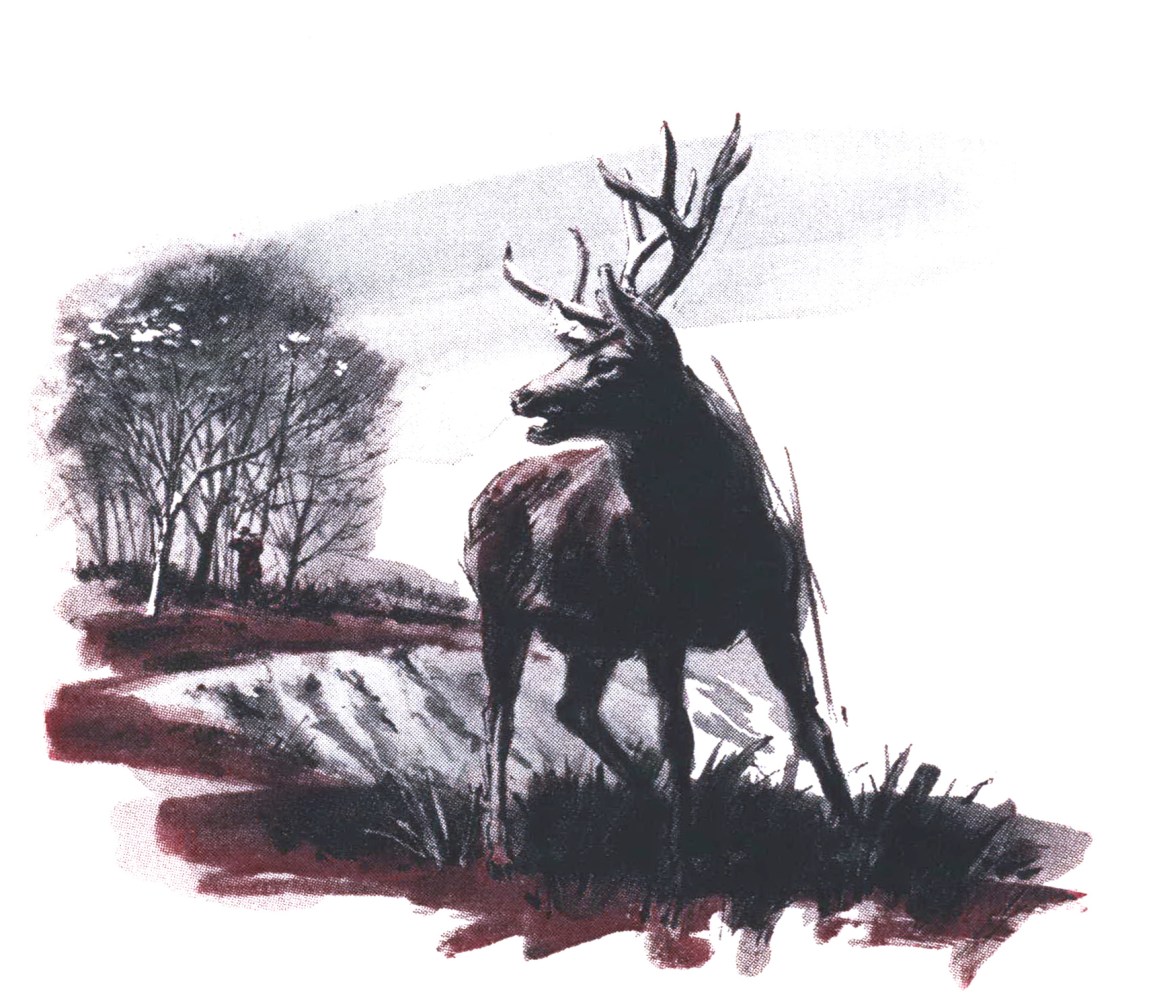 Old-School Advice for Still-Hunting Whitetail Deer | Outdoor Life