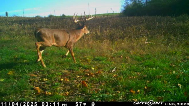Ohio Crossbow Hunter Sees a 190-Class 'Mega Buck' on Camera — and Tags ...