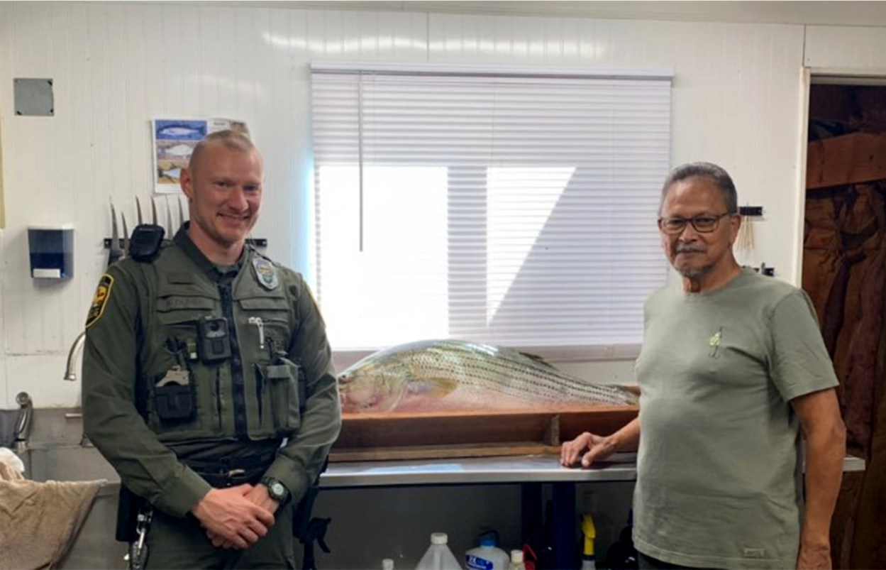 Perch Fisherman Catches a State-Record Striped Bass on Light Line ...