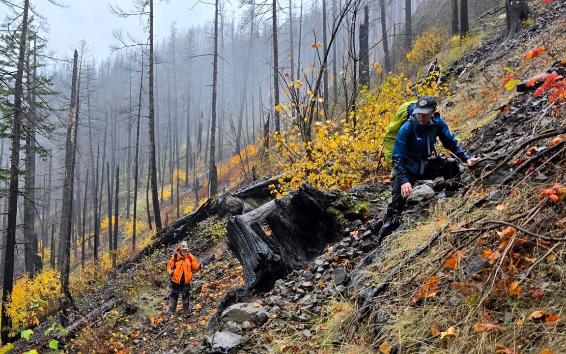 Oregon National Guard Deployed as Search for Missing Deer Hunter Enters ...