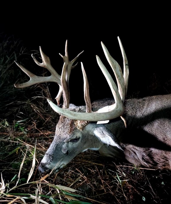 Public-Land Hunter Says This Huge Iowa Buck Is 'the Pinnacle of His ...