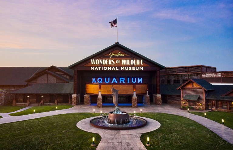 Woman Goes into Labor at Bass Pro Shop's Wonders of Wildlife, Delivers ...
