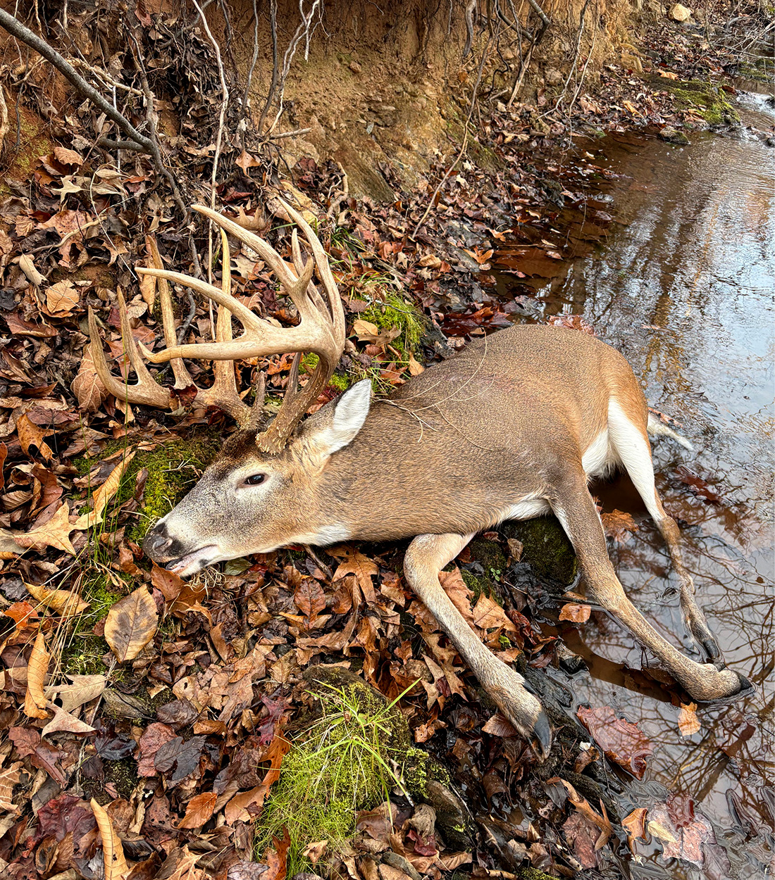 Hunter Tags a Giant Buck Four Hours Away, Makes It Home Just in Time ...