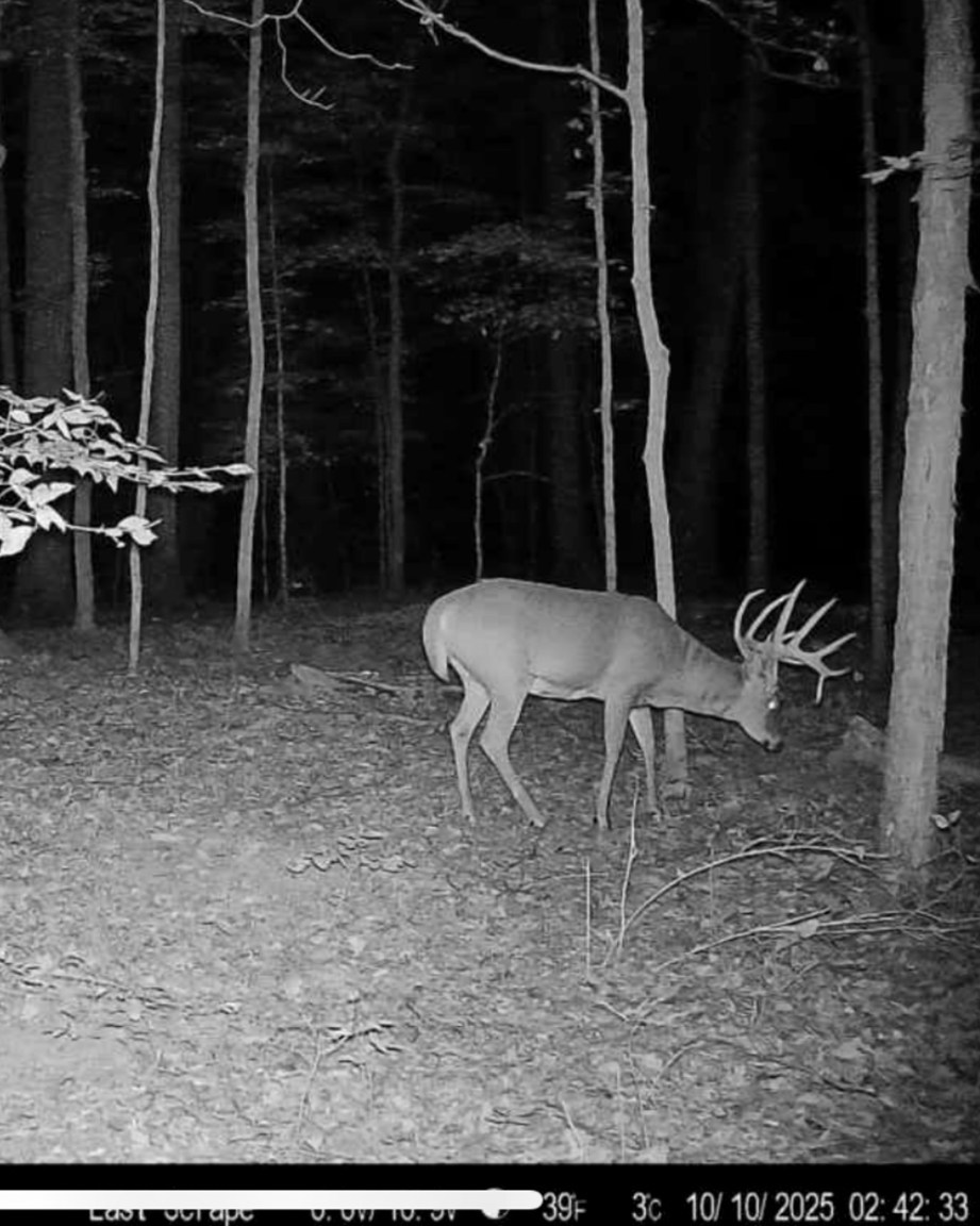 Indiana Hunter Tags Giant 190-Class Buck After Watching Him for 4 Years ...