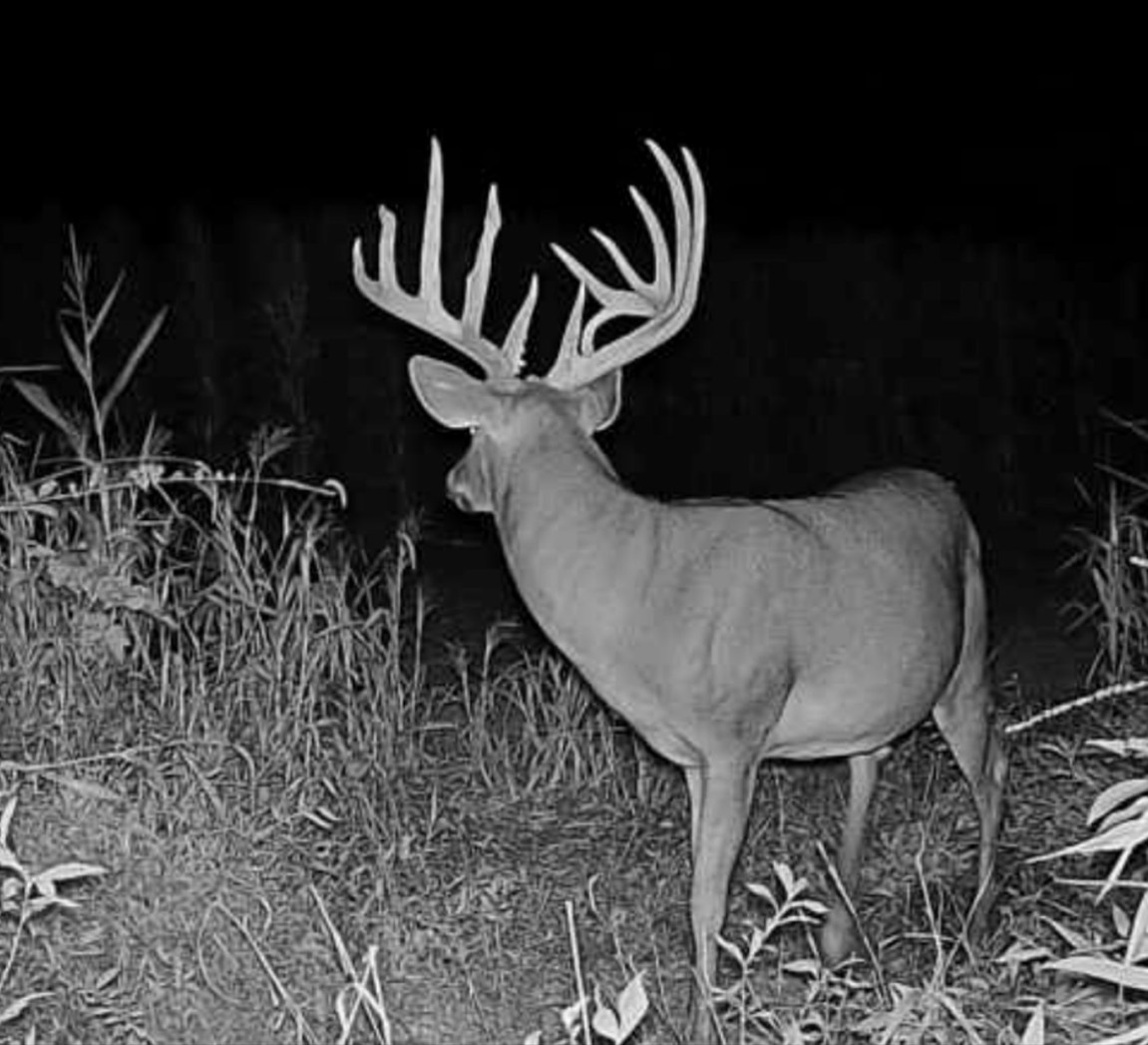 Indiana Hunter Tags Giant 190-Class Buck After Watching Him for 4 Years ...