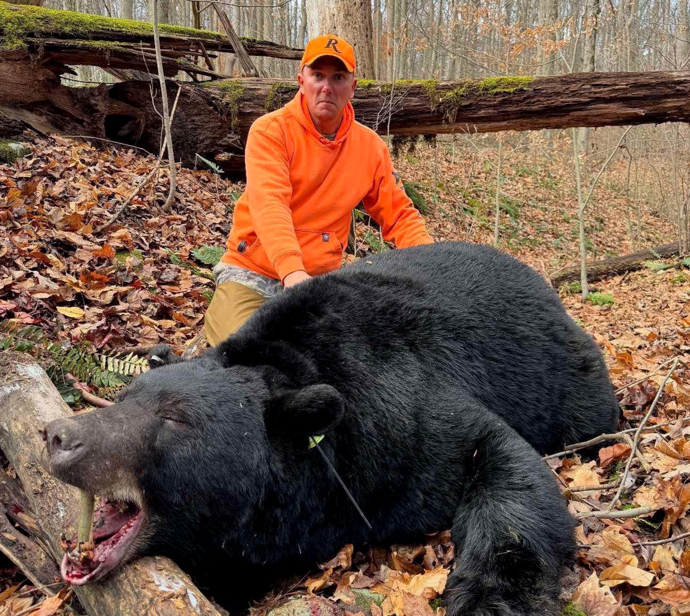 Pennsylvania Hunter Tags Biggest Black Bear of the Season with His Wife ...