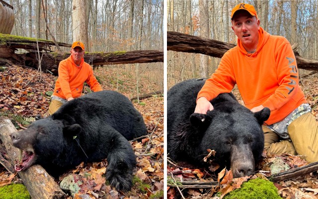 Pennsylvania Hunter Tags Biggest Black Bear of the Season with His Wife ...