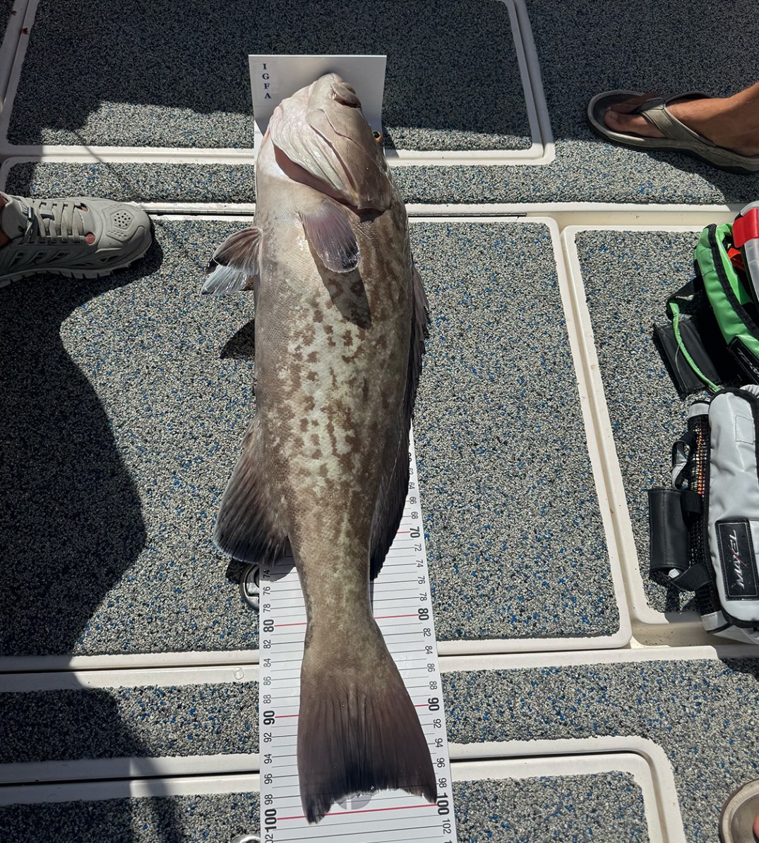 Florida Angler Catches World-Record Grouper Right After Breaking a Hook ...