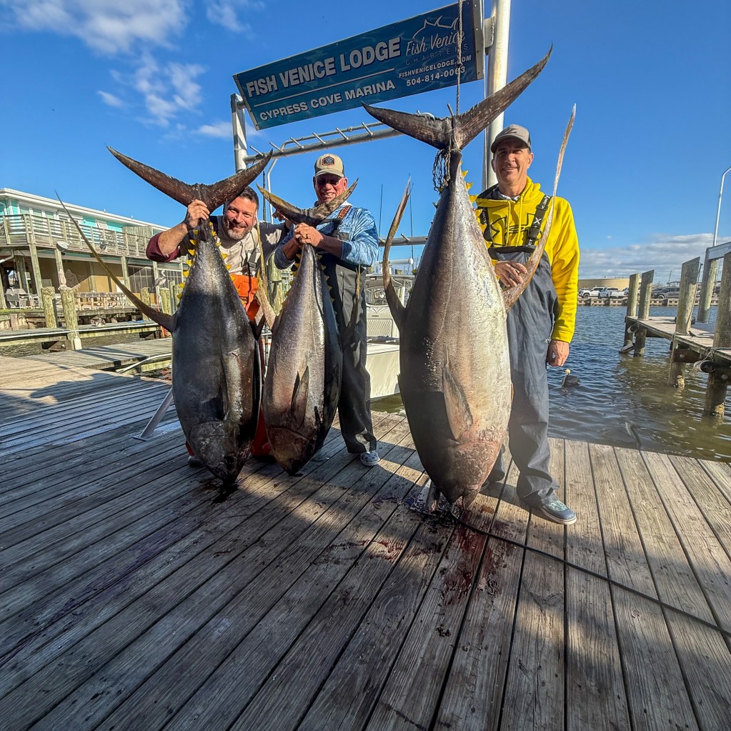'Those Guys Know How to Fight Fish.' Florida Man Lands Louisiana's ...