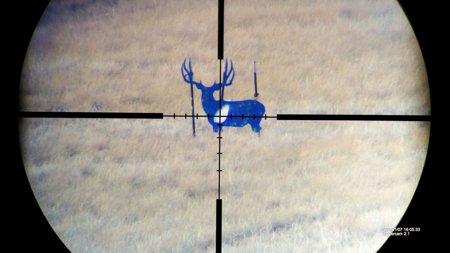 How Hunters Can Master The Wind On Long Shots | Outdoor Life