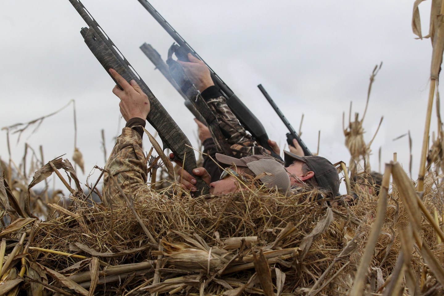 Has Hot Cropping Ruined Duck Hunting? Here’s What the Data and ...