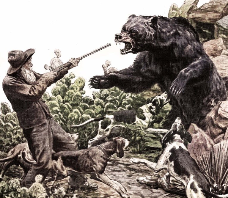 Hunting Tips, Tactics, and Stories | Outdoor Life