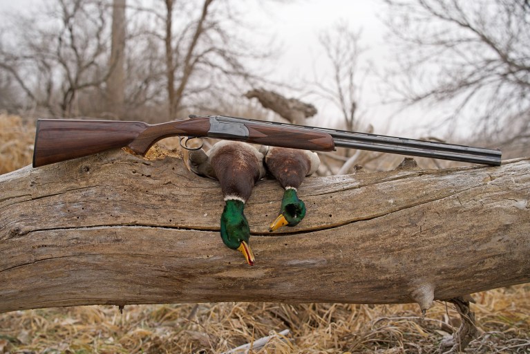 Ruger Red Label III Review: This Classic American Over/Under Is Back ...