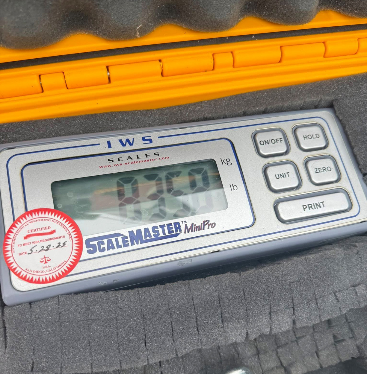 'The Most Amazing Bite I've Ever Had.' Monster Bluefin Tuna Smashes ...