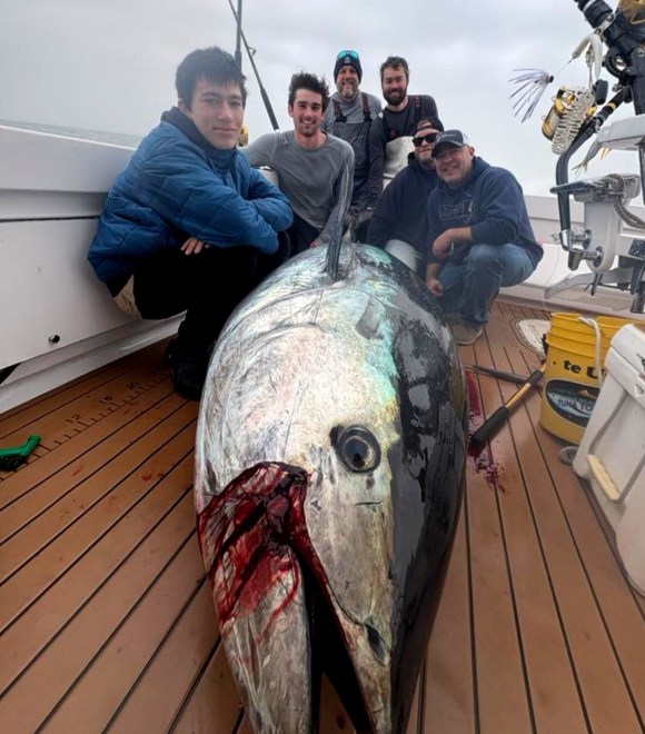 'The Most Amazing Bite I've Ever Had.' Monster Bluefin Tuna Smashes ...