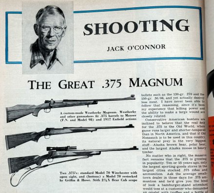 375 Ruger vs. 375 H&H: In The Modern Era, Which Is Best? | Outdoor Life