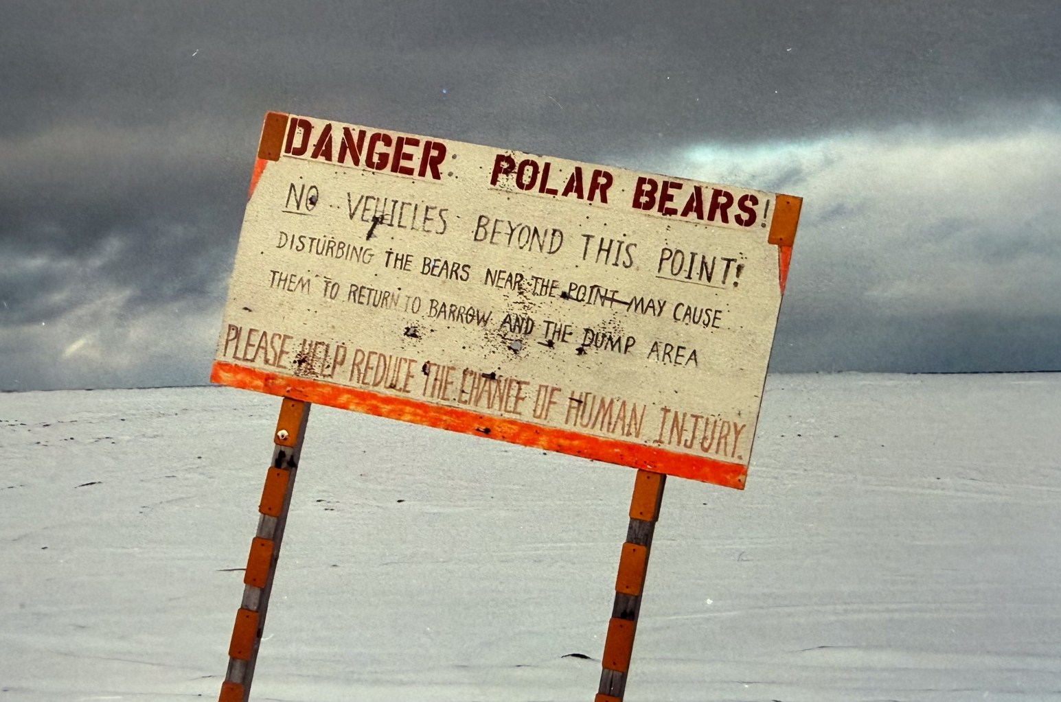 A Polar Bear Tried to Eat My Neighbor — and Other Close Calls With ...