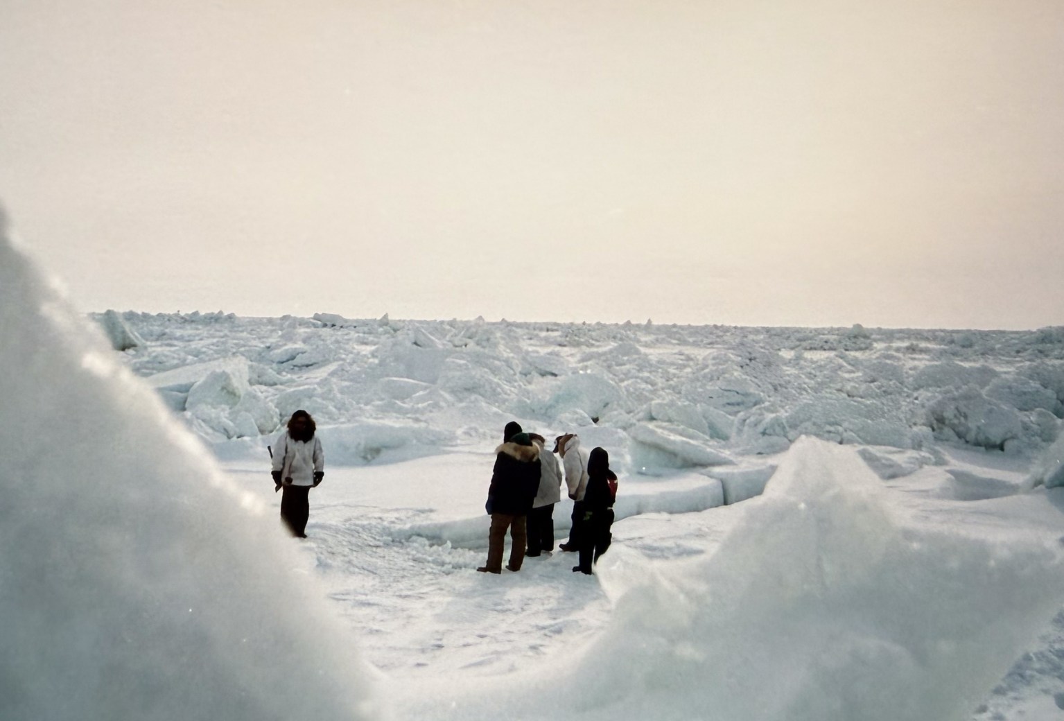 A Polar Bear Tried to Eat My Neighbor — and Other Close Calls With ...