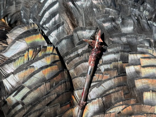 The Best Broadheads for Turkey Hunting of 2026, Tested and Reviewed ...