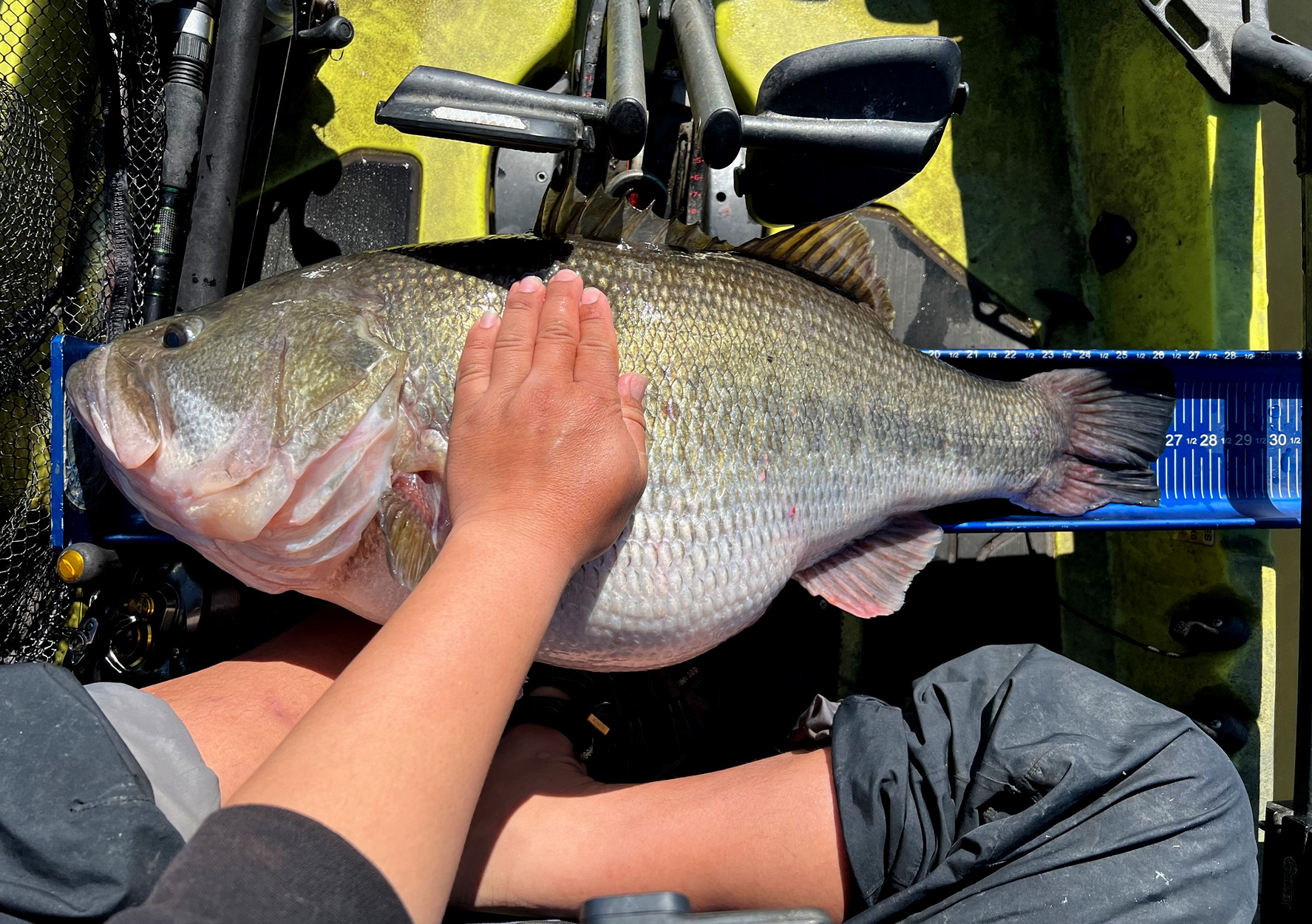This California Mega Bass Might Not Qualify as a Record Because of a ...