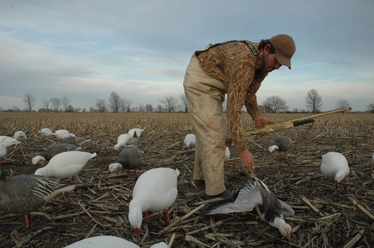 Where to Hunt Spring Snow Geese: These Are Your Best Bets for DIY and ...