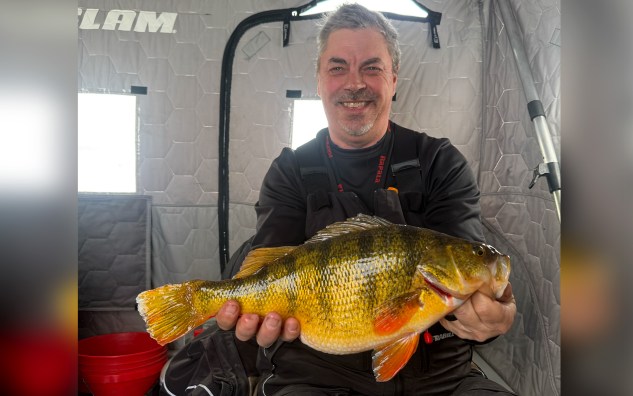 'Our Jaws Just Dropped.' Jumbo Perch Caught Through the Ice Should ...