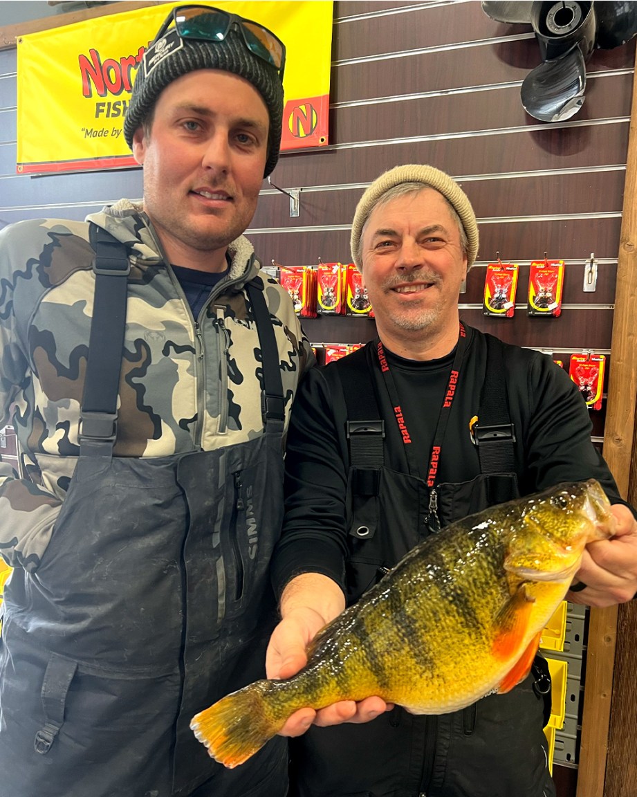 'Our Jaws Just Dropped.' Jumbo Perch Caught Through the Ice Should ...