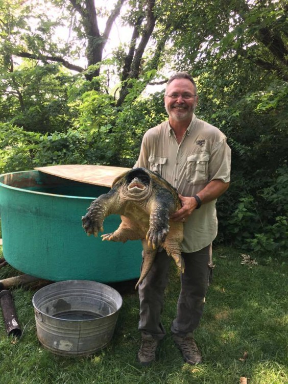Big Snap Daddy, the World’s Largest Snapping Turtle, Has Died. He Had a ...