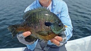 How to Catch Bigger Bluegills This Spring | Outdoor Life