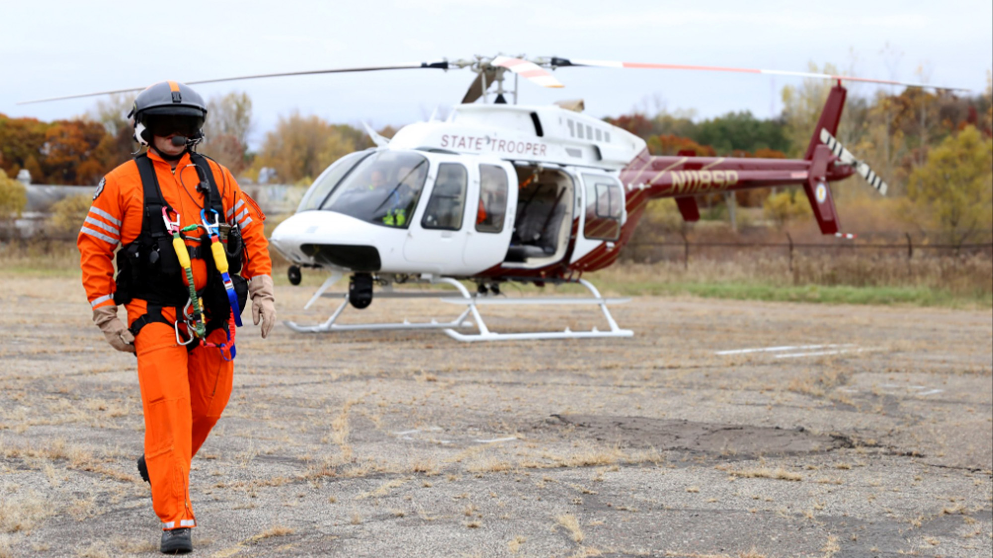Wildlife Officer Airlifted After Falling 20 Feet While Removing an ...