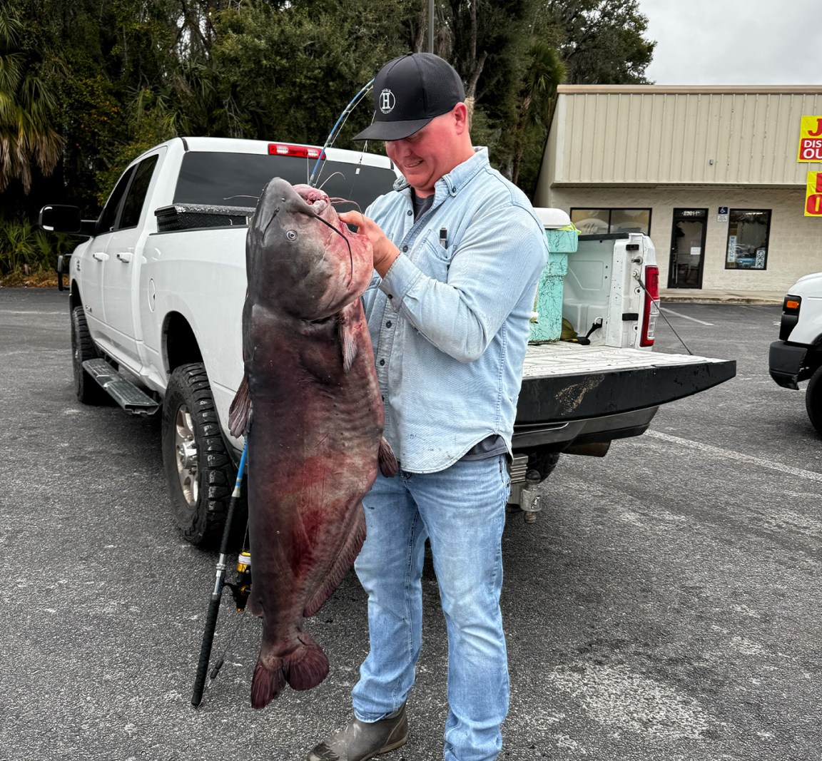 'Shocked at What We Caught.' Florida Fisherman Pulls in a New State ...