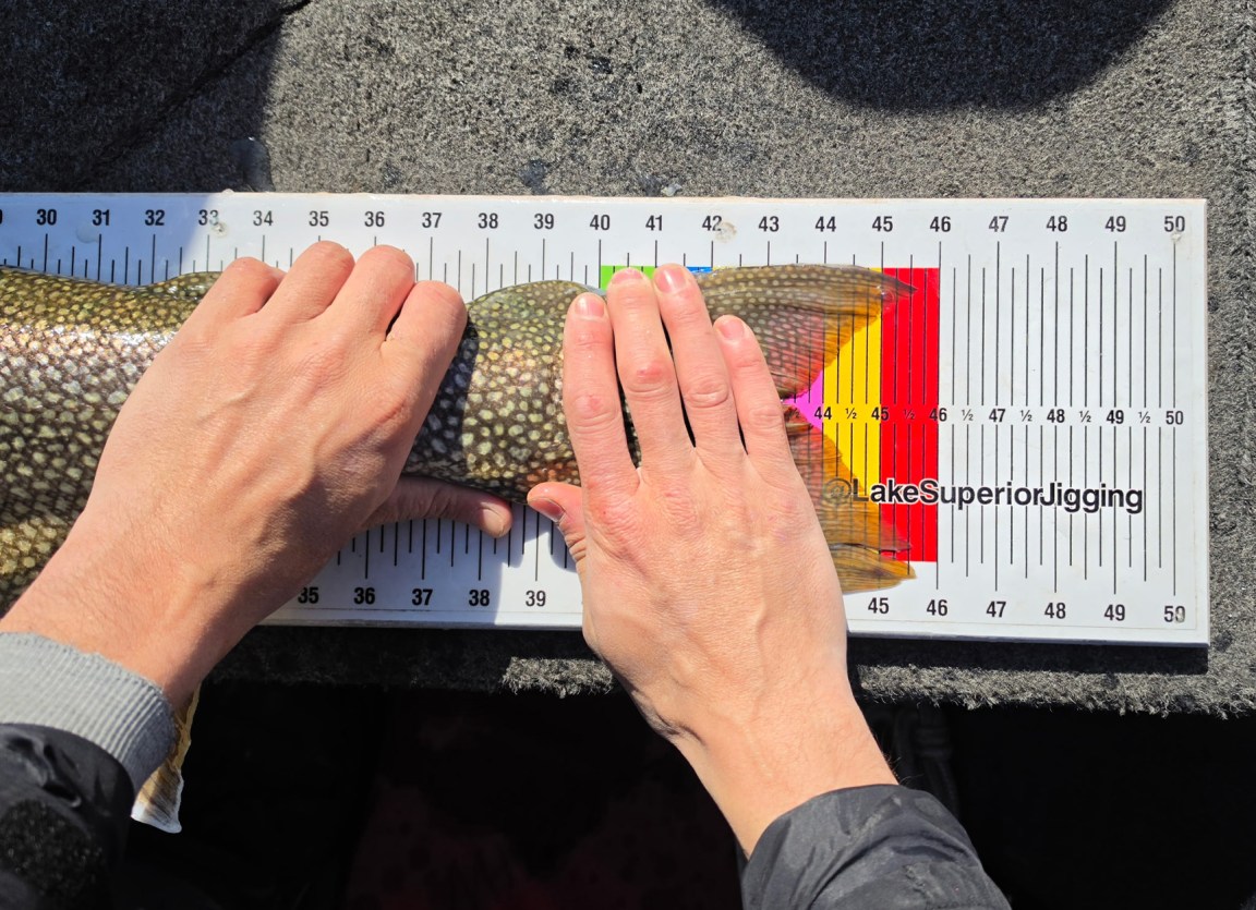 This Guide on Lake Superior Has Helped Break the Minnesota Lake Trout ...