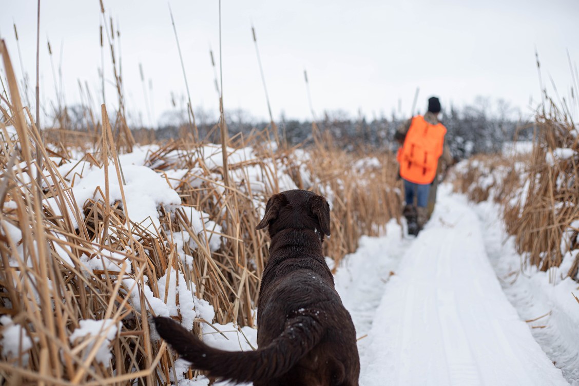 Here’s Where the Trump Administration Plans to Open Hunting, Fishing ...